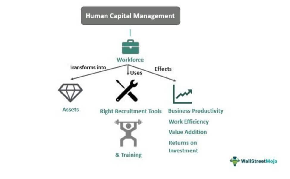 Human Capital Management - What Is It, Functions, Examples