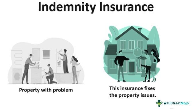 Indemnity Insurance - Meaning, Types, Features, Examples
