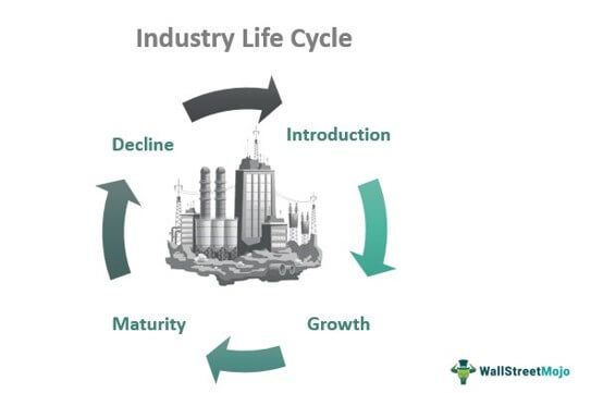 Industry Life Cycle - Definition, Examples, 4 Stages