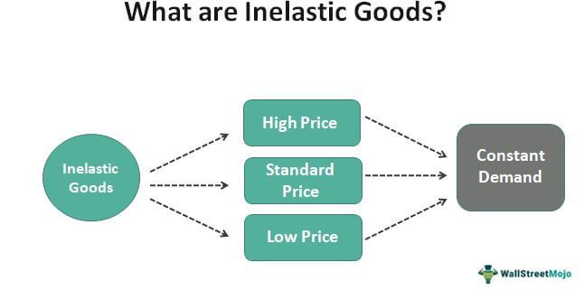 Inelastic Goods - Definition, Explained, Examples, vs Inelastic