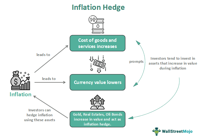 Inflation Hedge - Meaning, How to Guide? (Gold, Real Estate etc)