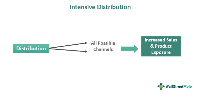 Intensive Distribution - What Is It, Strategy, Explained, Examples