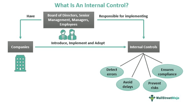 Internal Control - Meaning, Types, Components, Examples