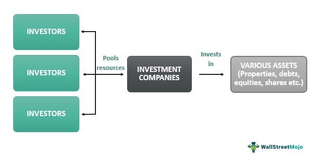 Investment Company - What Is It, Types, Examples