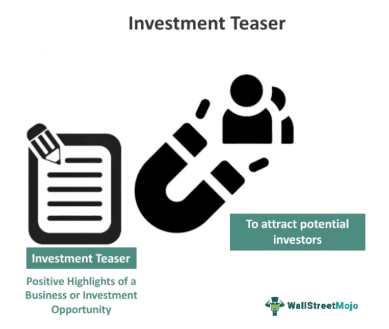 Investment Teaser - What Is It, Examples, Contents, Significance
