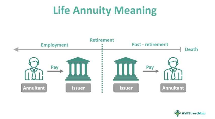 Life Annuity - What Is It, Explained, Examples, Vs Living Annuity