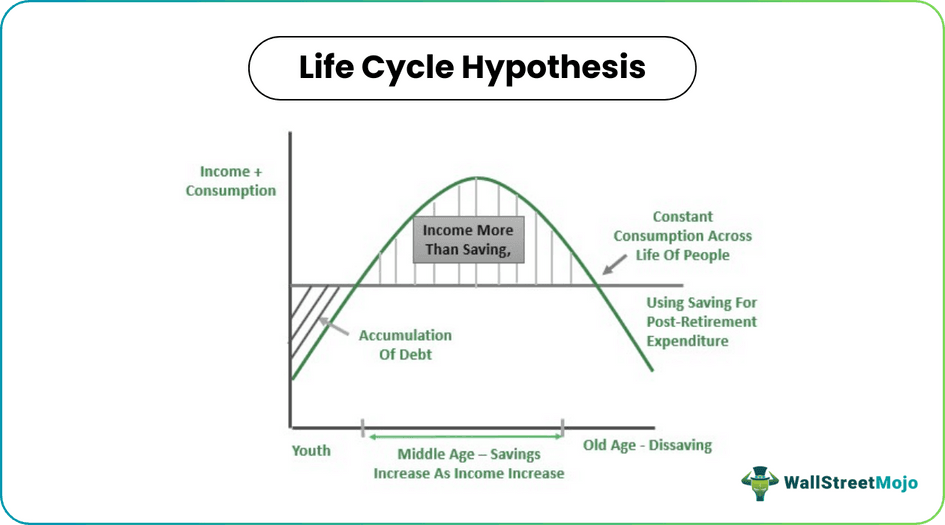Life Cycle Hypothesis - What Is It, Consumption Graph, Criticism