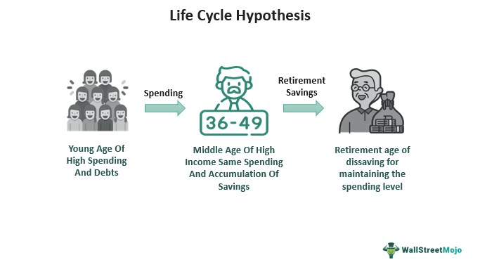 Life Cycle Hypothesis - What Is It, Consumption Graph, Criticism