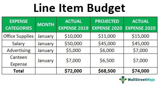 Line Item Budget - What Is It, Examples, Vs Program Budget