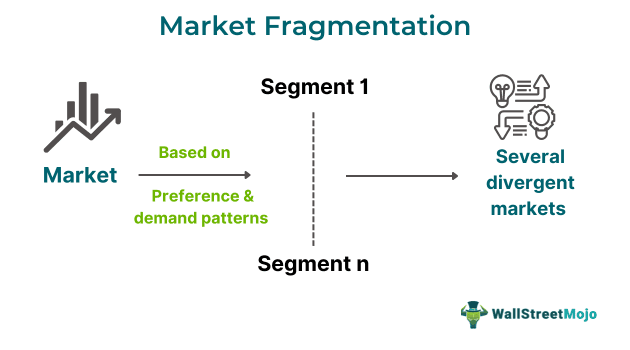 Market Fragmentation – Meaning, Causes, Types Market Fragmentation – Meaning, Causes, Types