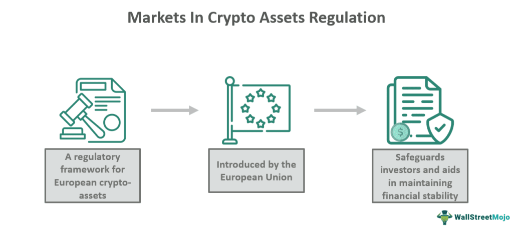 Markets In Crypto Assets Regulation (MiCA) - What Is It, Examples