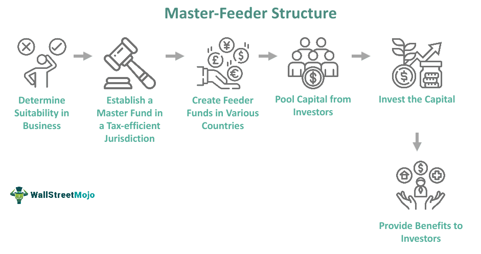 Master-Feeder Structure - Meaning, Example, Vs Fund Of Funds