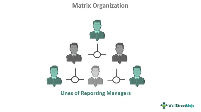 Matrix Organization - What Is It, Structure, Types, Examples