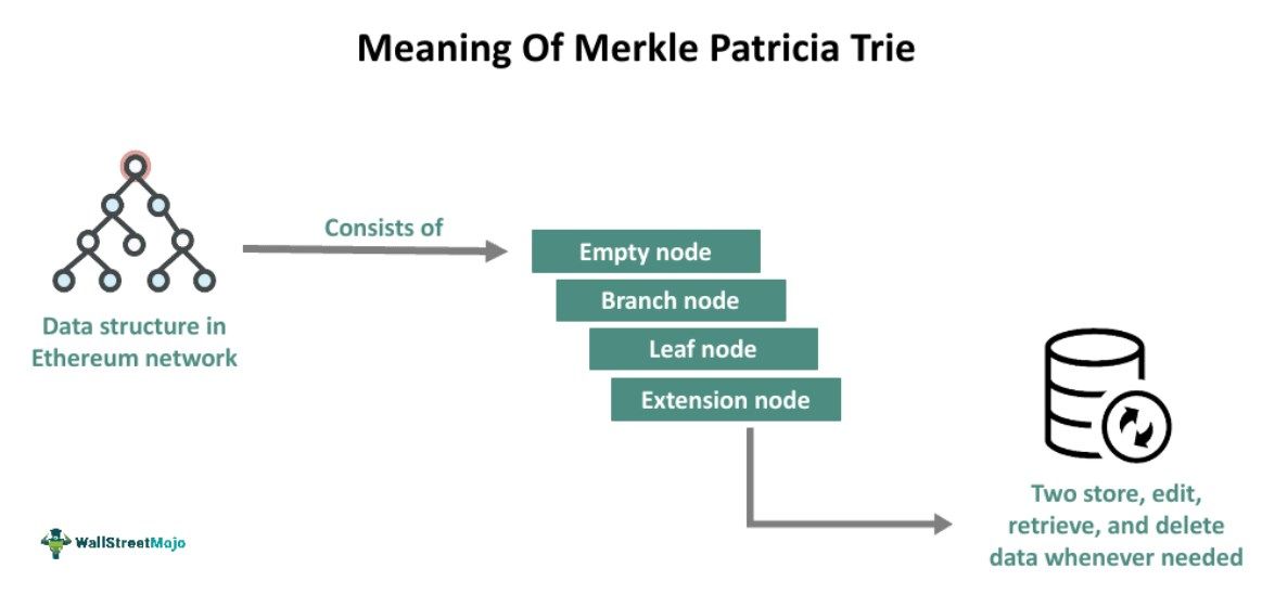 Merkle Patricia Trie - What It Is, Features, Examples, Importance