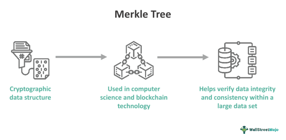 Merkle Tree In Blockchain What It Is Examples Implementations