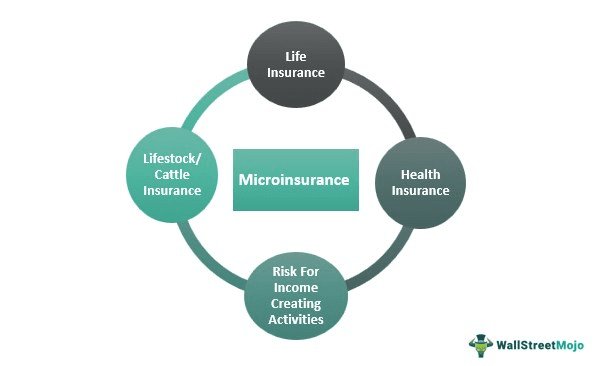 Microinsurance- Meaning, Types, Examples, Importance