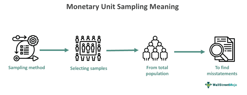 Monetary Unit Sampling - What Is It, Examples, Steps, Calculation