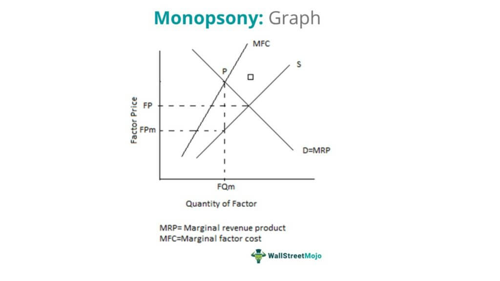 Monopsony - Definition, Power, Market Examples & Graph