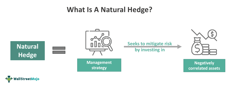 Natural Hedge - Meaning, Examples, Vs Financial Hedge