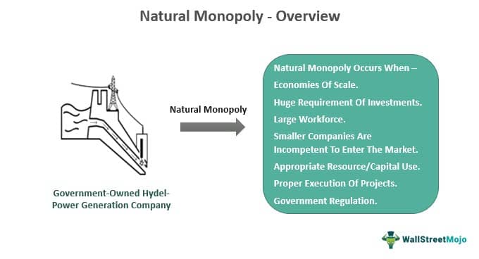 Natural Monopoly - Definition, Graph, Examples, Characteristics