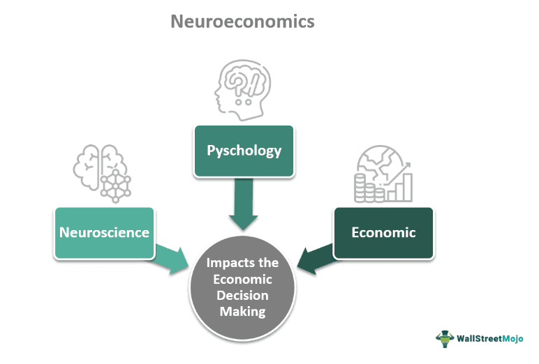 Neuroeconomics - What Is It, Examples, History, Applications