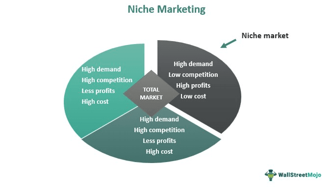 Niche Marketing - Meaning, Examples, Advantages, Characteristics