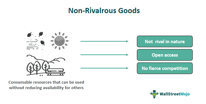 Non-Rivalrous Goods - What Are They, Example, Vs Rivalrous