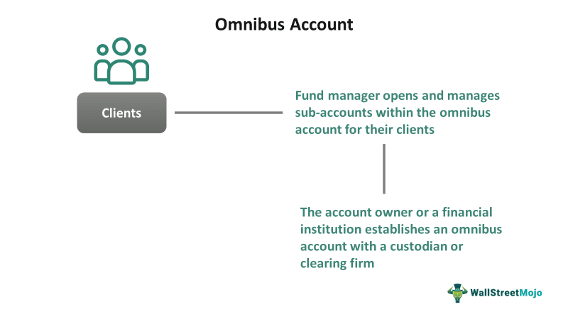 Omnibus Account - What Is It, Examples, Vs Segregated Account