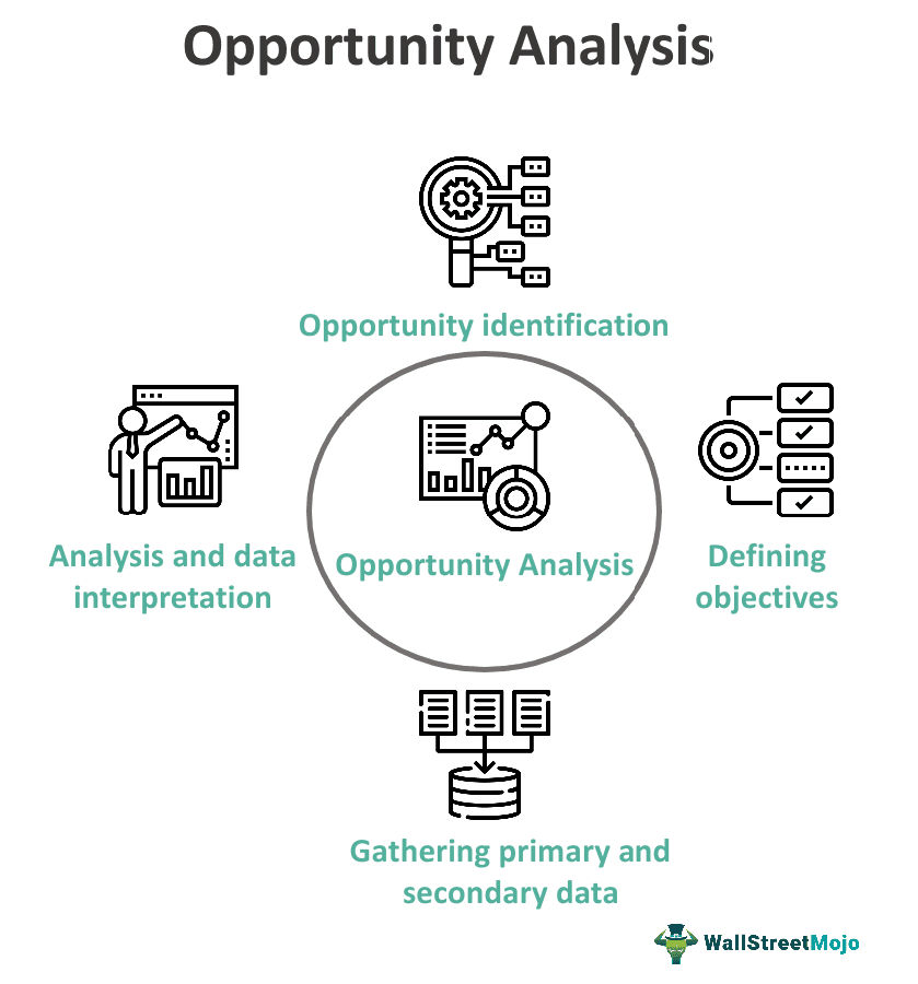 Opportunity Analysis - What Is It, Factors, Examples, How To Do It?