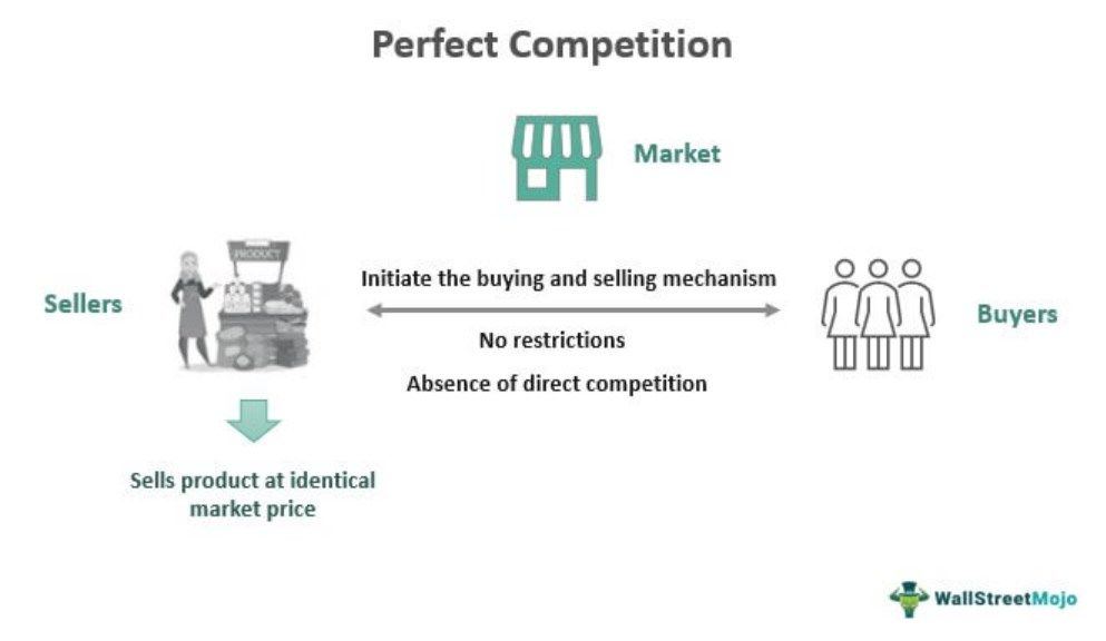 Perfect Competition - What Is It, Examples & Features