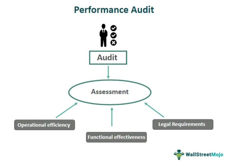 Performance Audit - Meaning, Example, Objective