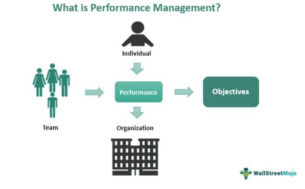 Performance Management - Definition, Stages, Importance