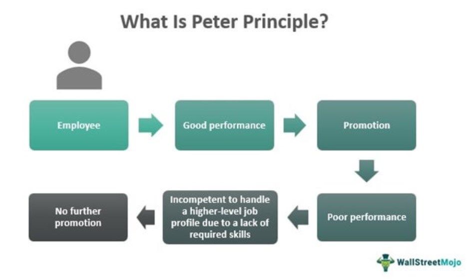 Peter Principle - Meaning, Examples, Theory, How it Works?