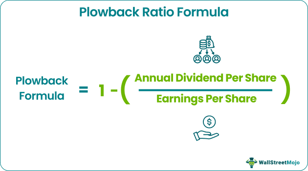 Plowback Ratio (Formula, Examples) | How to Calculate Plowback Ratio?