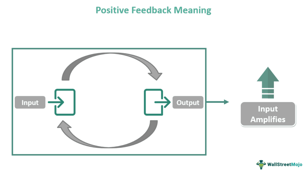 Positive Feedback - What Is It, Mechanism, Examples, Vs Negative