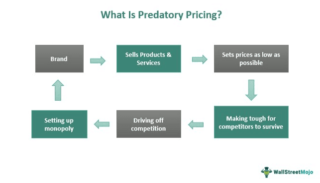 Predatory Pricing - Meaning, Examples, Effects, Vs Limit Pricing