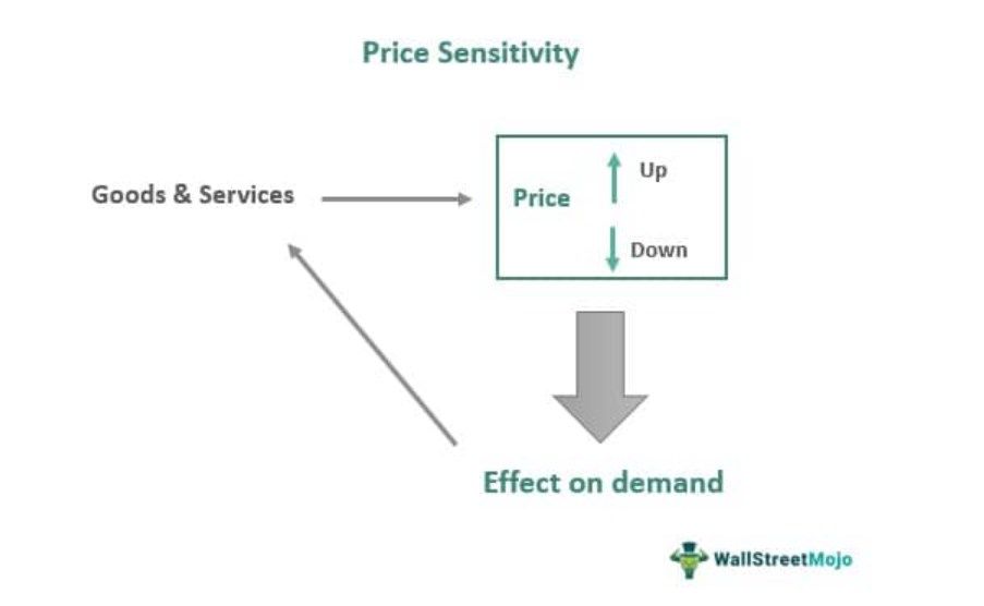 Price Sensitivity - Meaning, Example, Factors