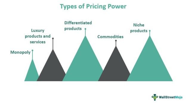Pricing Power - Meaning, Explanation, Types, Examples