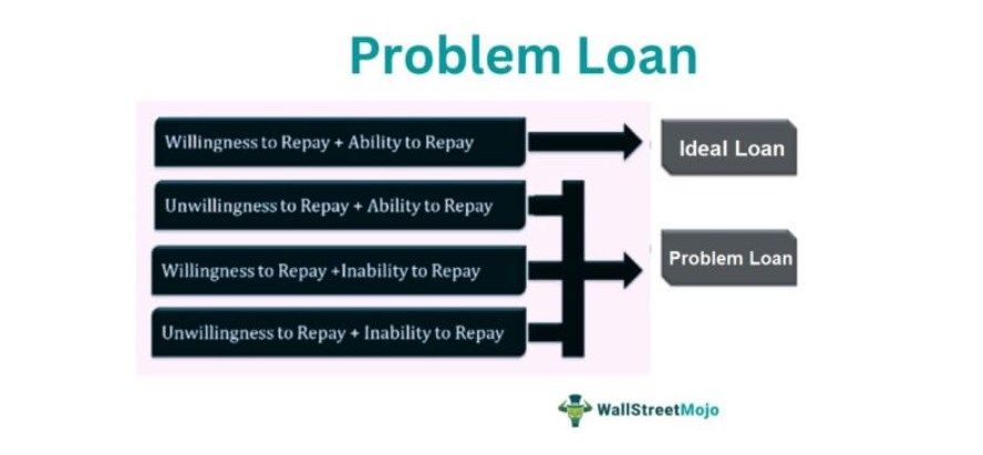 Problem Loan - Definition, Examples, How To Manage It?