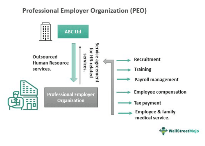 Professional Employer Organization (PEO) - Meaning, How To Start