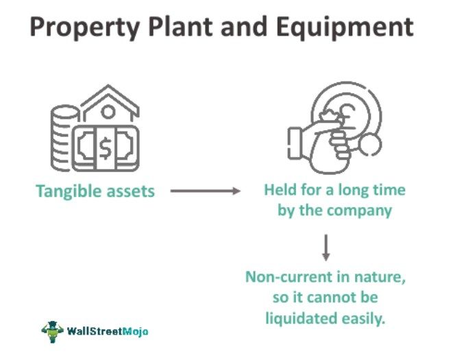 Property Plant and Equipment - Meaning, Formula, Examples