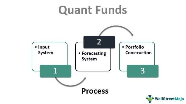 Quant Funds - What Are They, Examples, Process, Importance