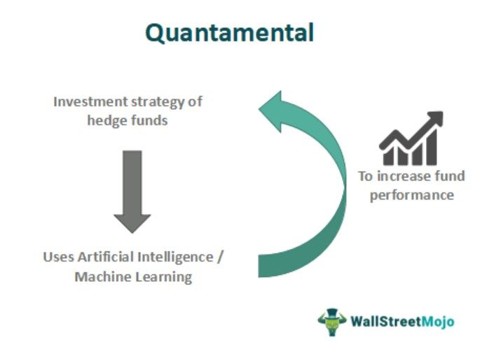 Quantamental - Meaning, Strategies, Types, Examples