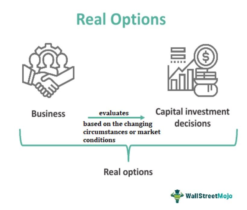 Real Option - What Is It, Explained, Examples, Types, Advantages