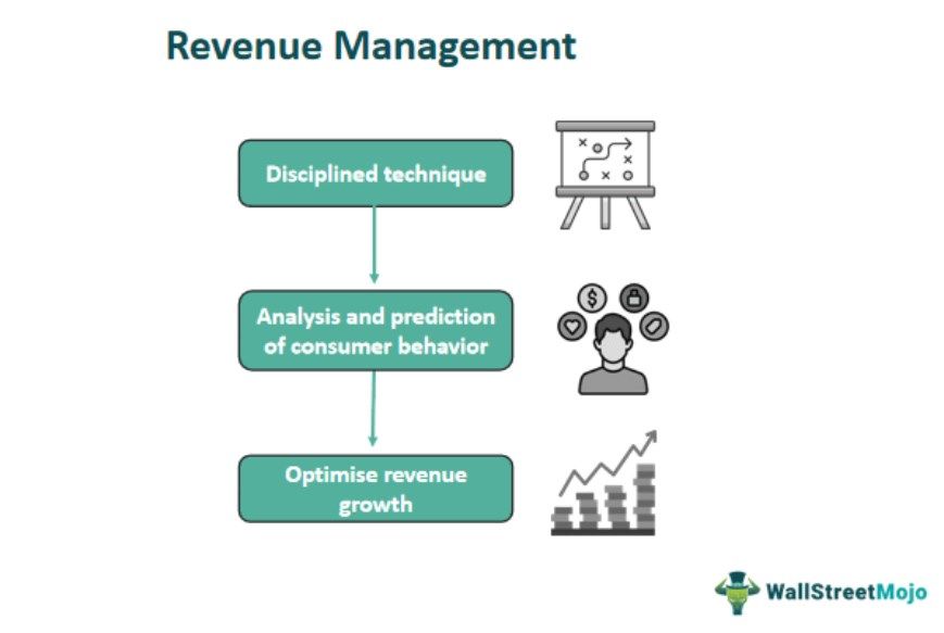 Revenue Management - What Is It, Strategies, Examples