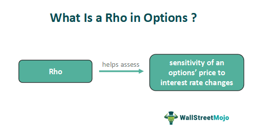 Rho in Options - What Is It, Formula, Examples, Types, Conditions