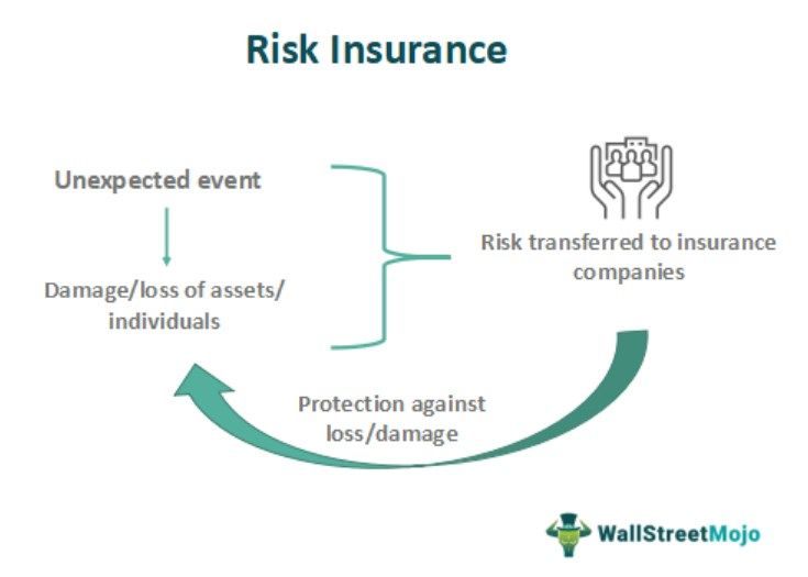 Risk Insurance - Definition, Types, Example