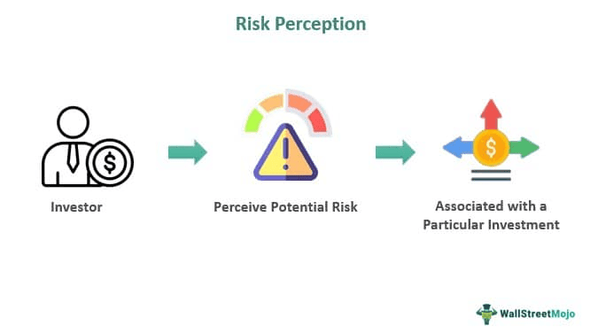 Risk Perception - Meaning, Examples, Types, Factors, Importance