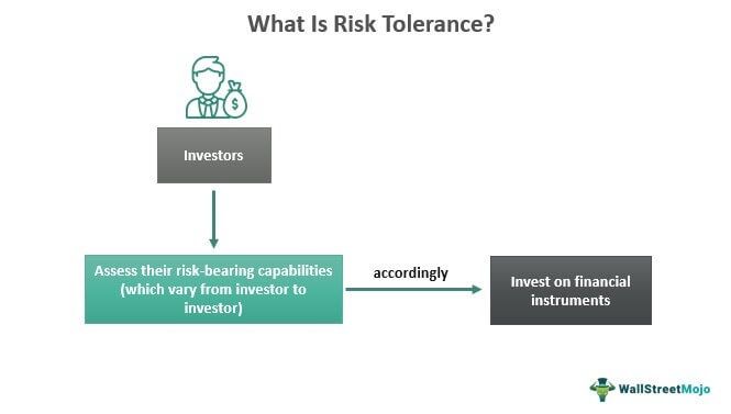Risk Tolerance - Definition, Investing, Example, vs Risk Appetite