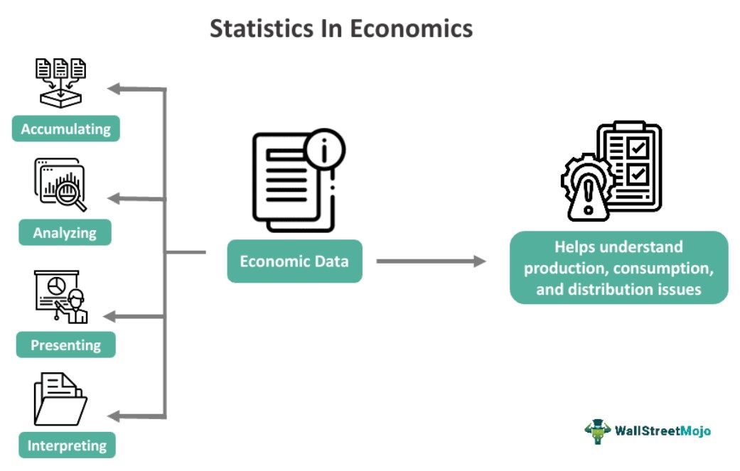 Statistics In Economics - What Is It, Importance, Example, Function